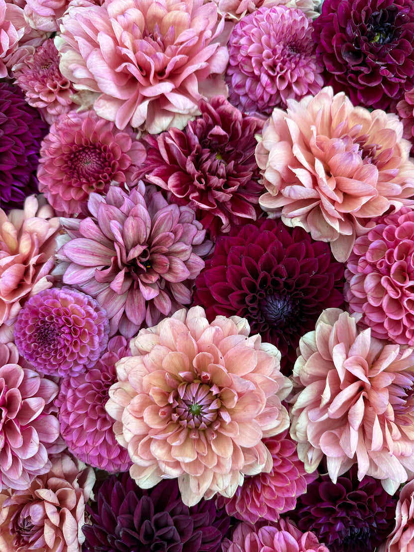 Torch River Flower Farm