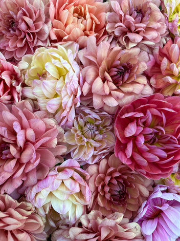 Torch River Flower Farm