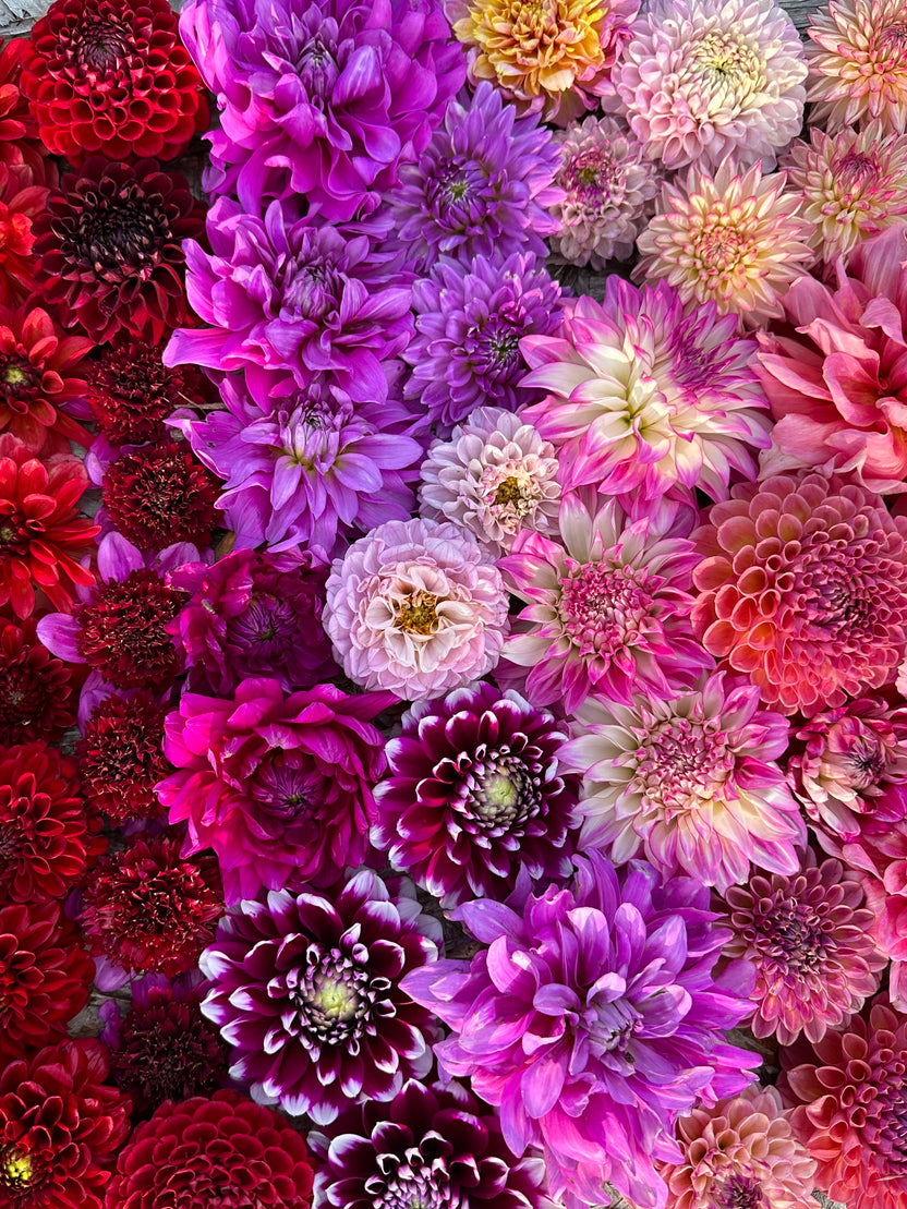 Torch River Flower Farm